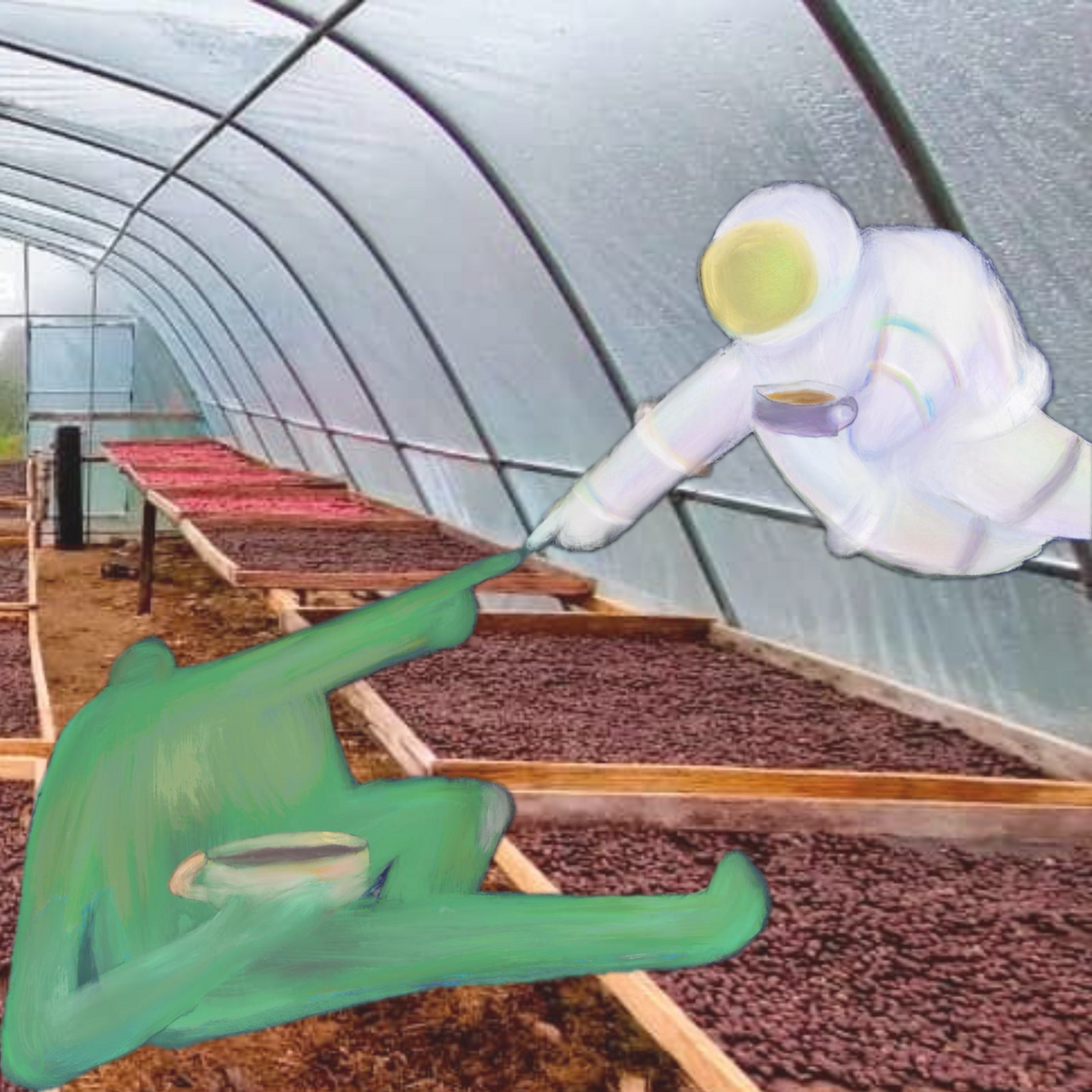 (Exclusive) Sabah Tapai Process Malaysia 咖啡馬來西亞沙巴 – Islet Coffee Lab